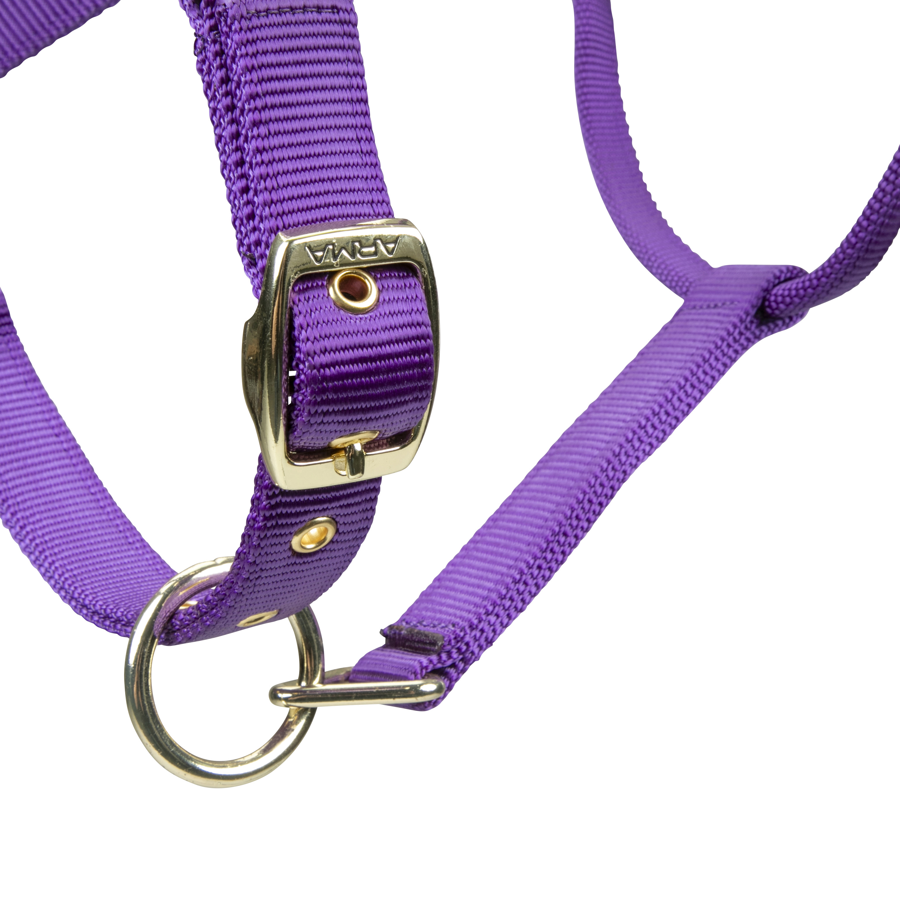 Shires ARMA Adjustable Nylon Halter - Purple - ARMA-10574-PURPLE - Tack Of The Day