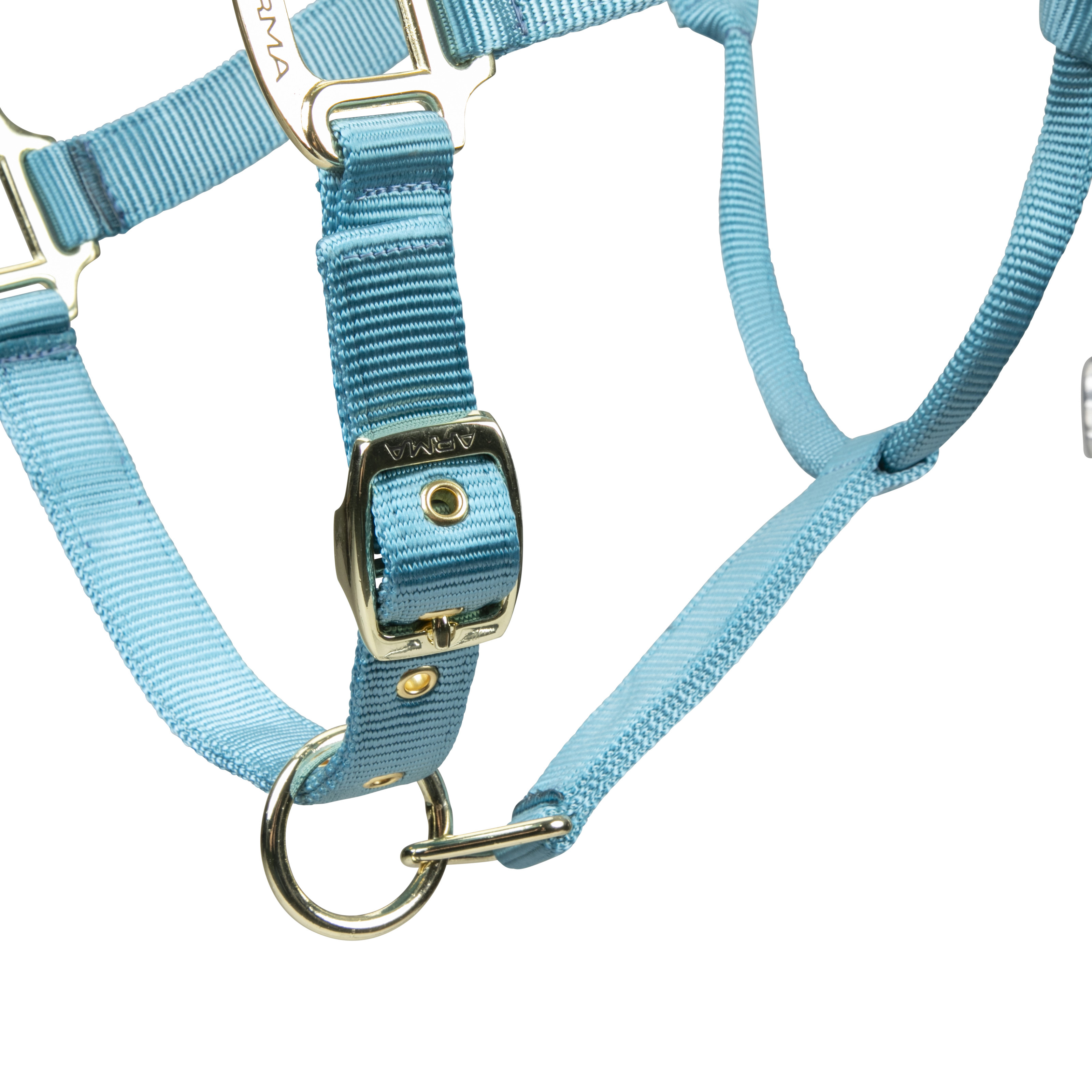 Shires ARMA Adjustable Nylon Halter - Teal - ARMA-10574-TEAL - Tack Of The Day
