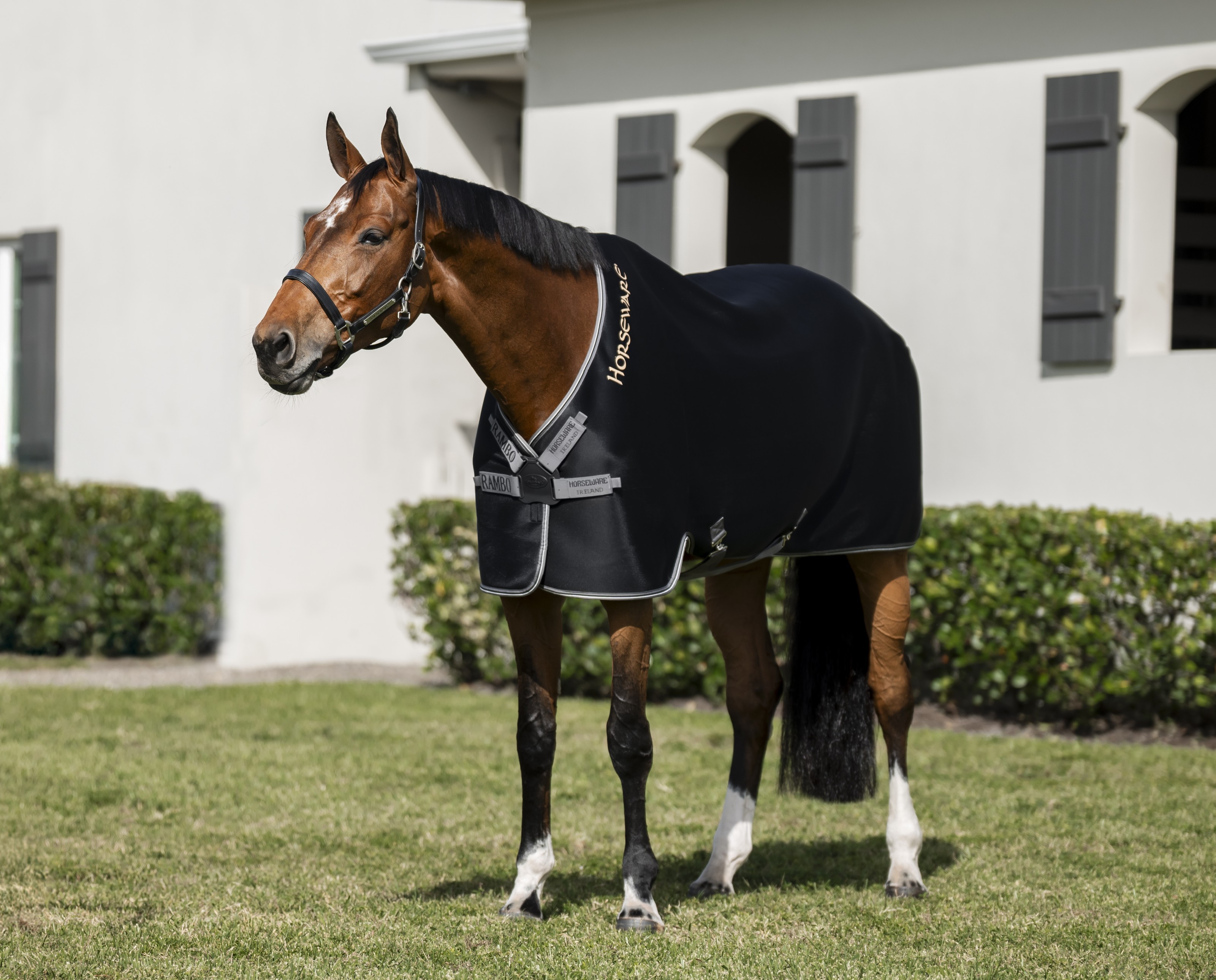 Rambo Airmax Disc Front Cooler - Black/Thunderstorm Grey/Silver - Rambo ...