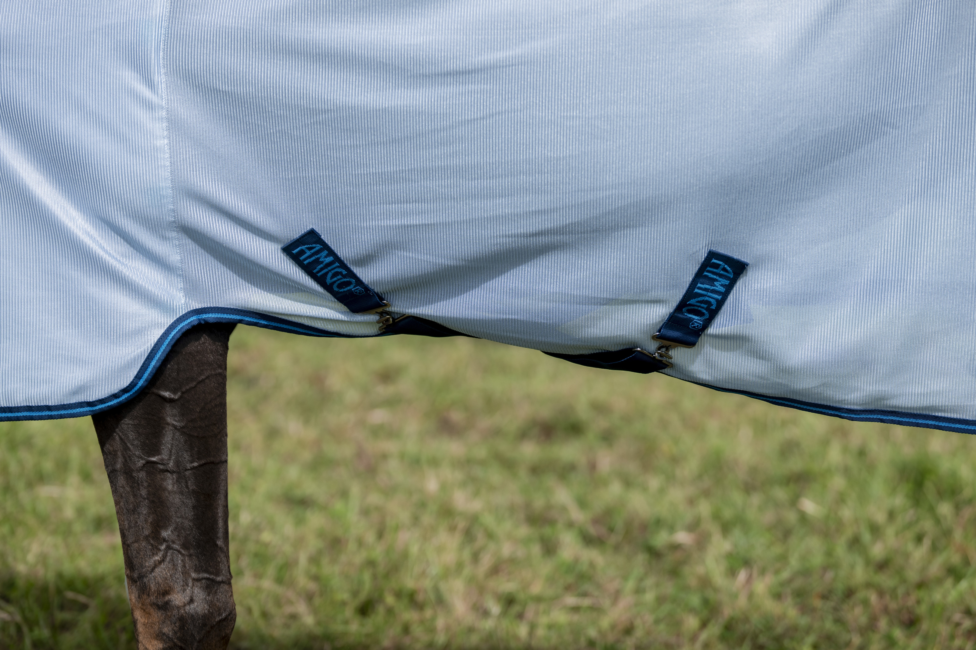 Amigo Bug Rug - Azure Blue/Navy/Electric Blue - Amigo-AFRNGQ-CBE0 ...