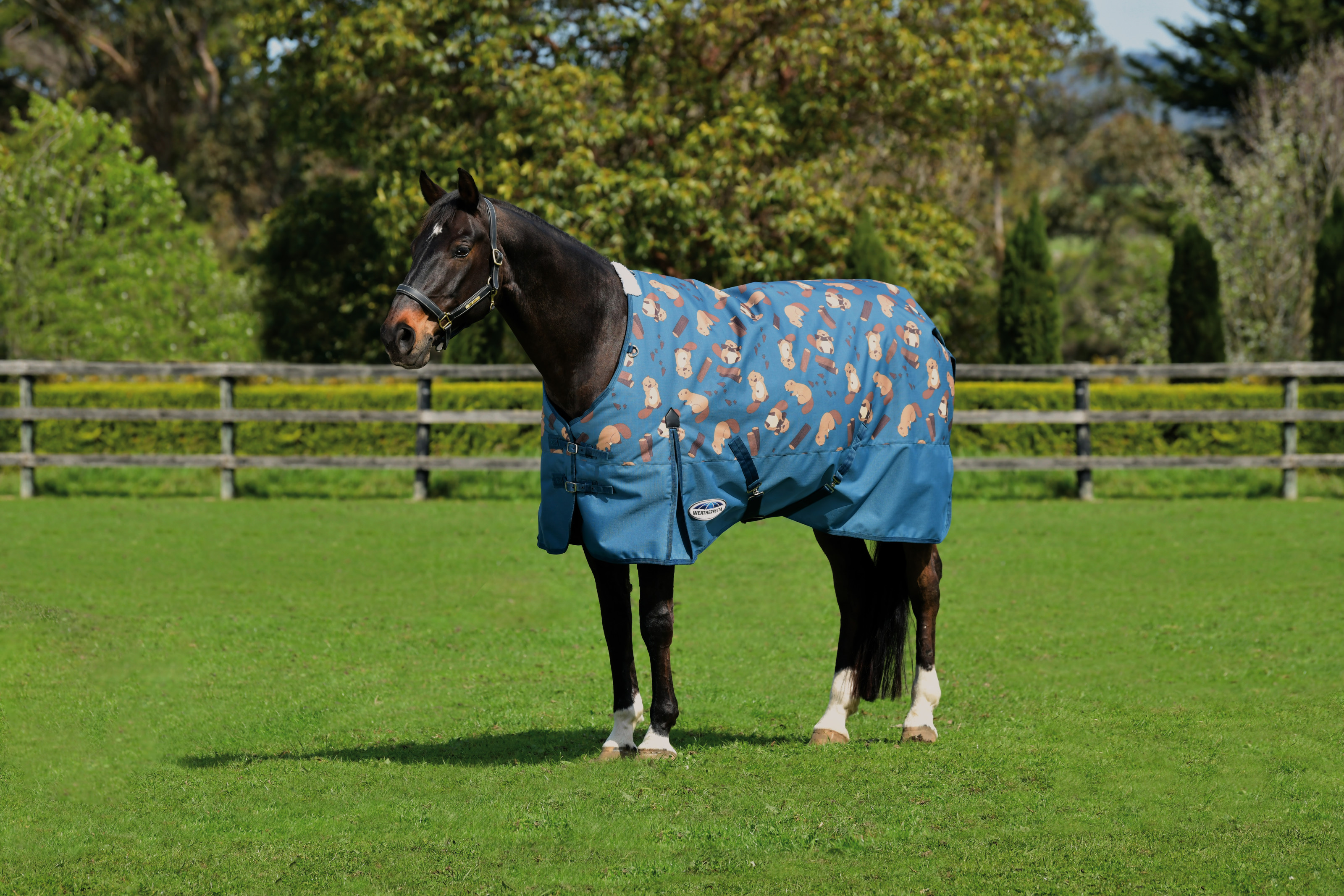 Weatherbeeta Comfitec Essential Standard Neck Lite - Beaver Print ...