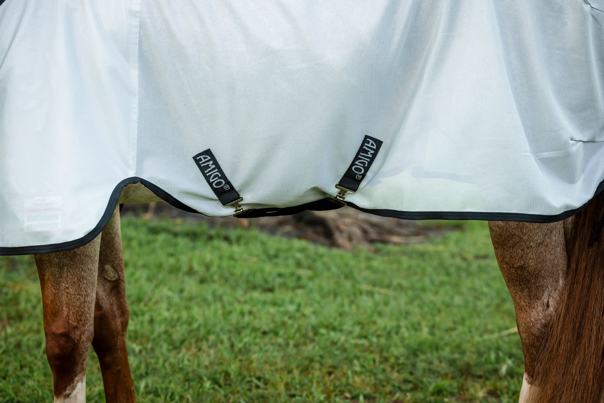 Amigo Bug Rug Stock Horse Plus - Silver/Black - Amigo-AFRNWP-IK00 ...