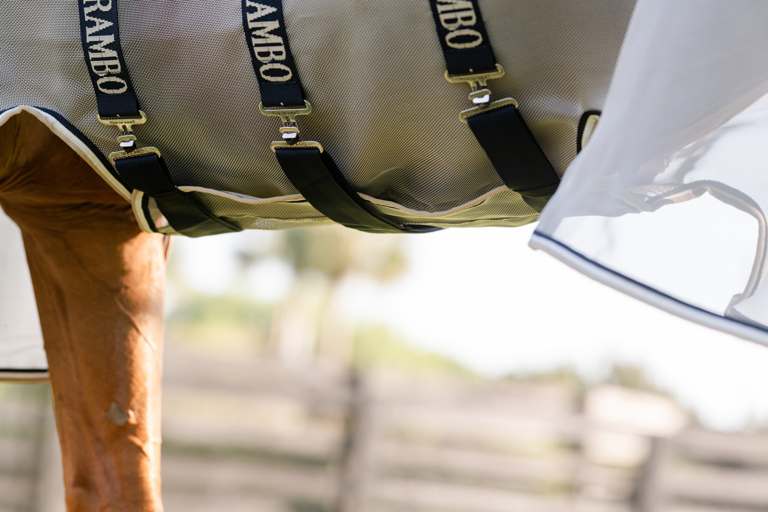 Rambo Protector Fieldsafe - Silver/Navy/White/Beige - Rambo-AFANMT-IBWT - Tack Of The Day