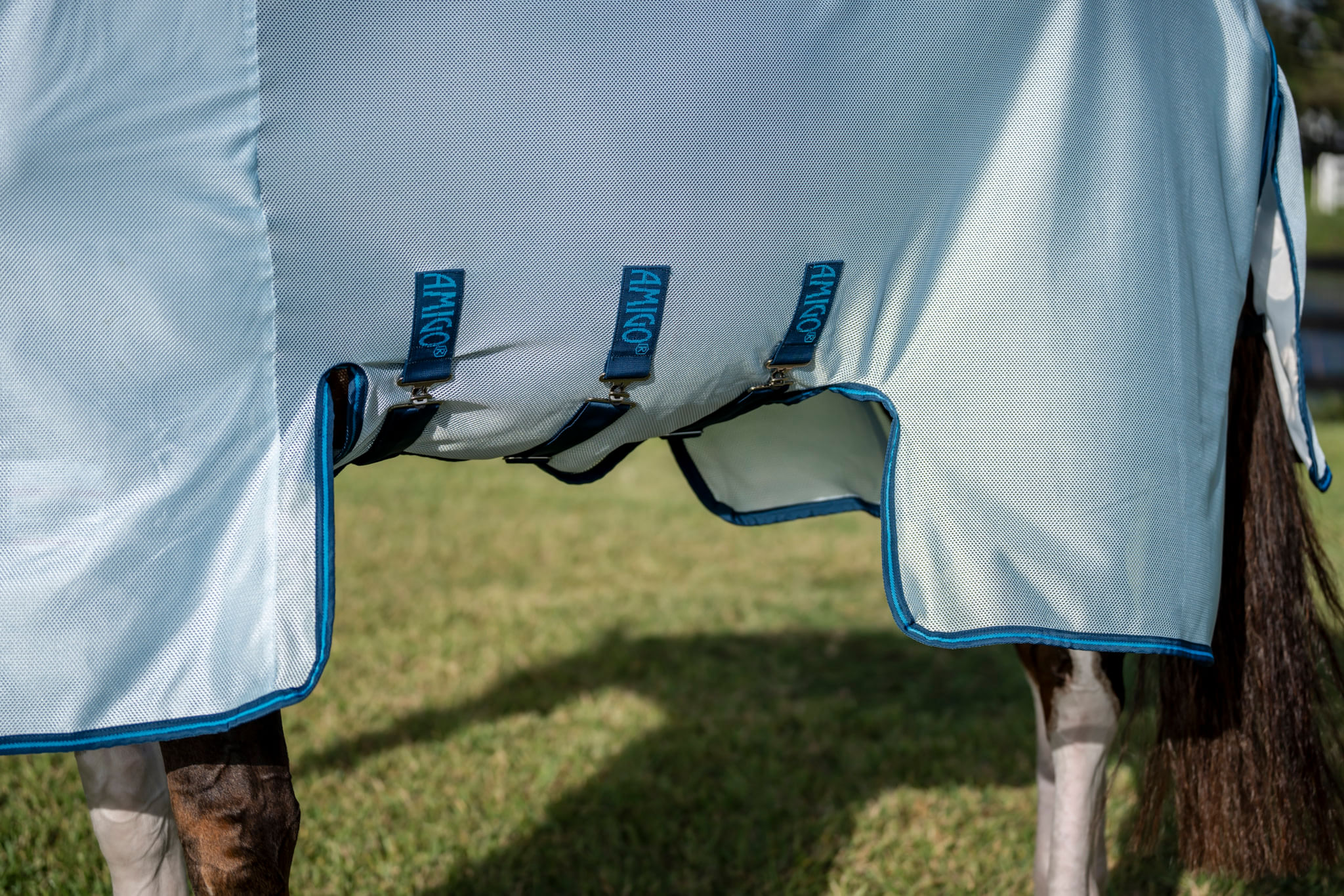 Amigo Bug Buster - Azure Blue/Navy/Electric Blue - Amigo-AFRNMQ-CBE0 ...