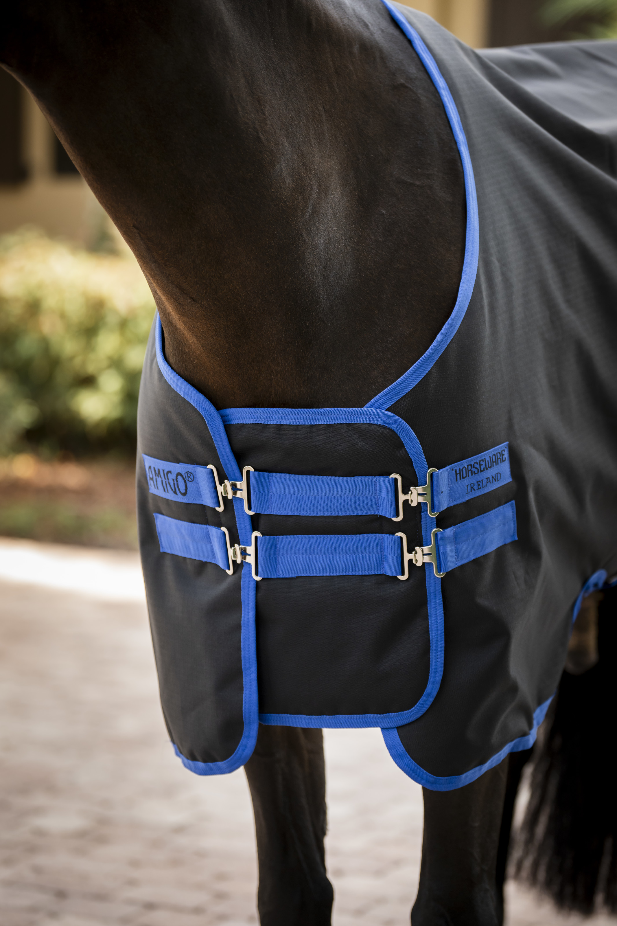 Amigo Straight Front Chest Extender - Black/Classic Blue - Amigo-DZQC00 ...