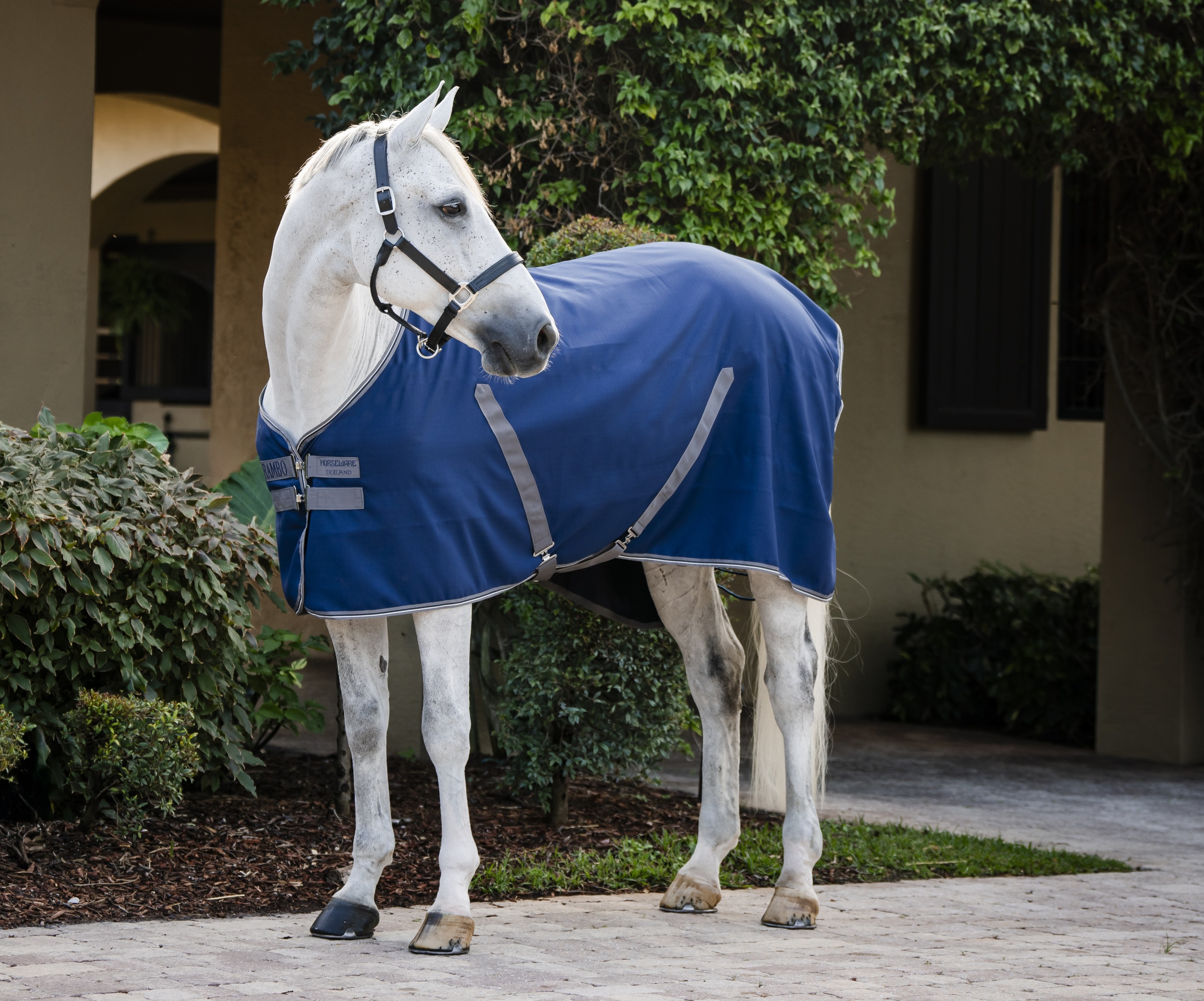 Rambo Stable Sheet - Navy/Thunderstorm Grey/Silver - Rambo-ADAAAC-BJJI - Tack Of The Day