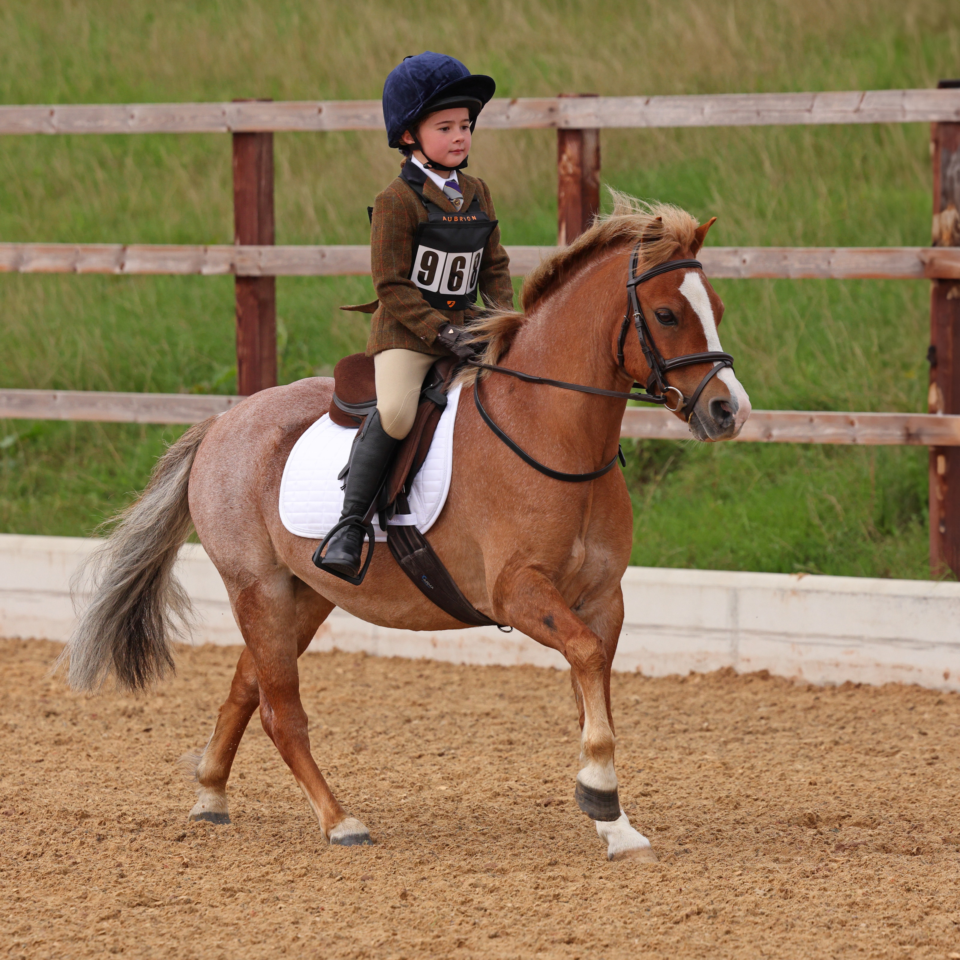 Shires Aubrion Kids' Saratoga Tweed Jacket - Rust Check - Aubrion-9786 ...